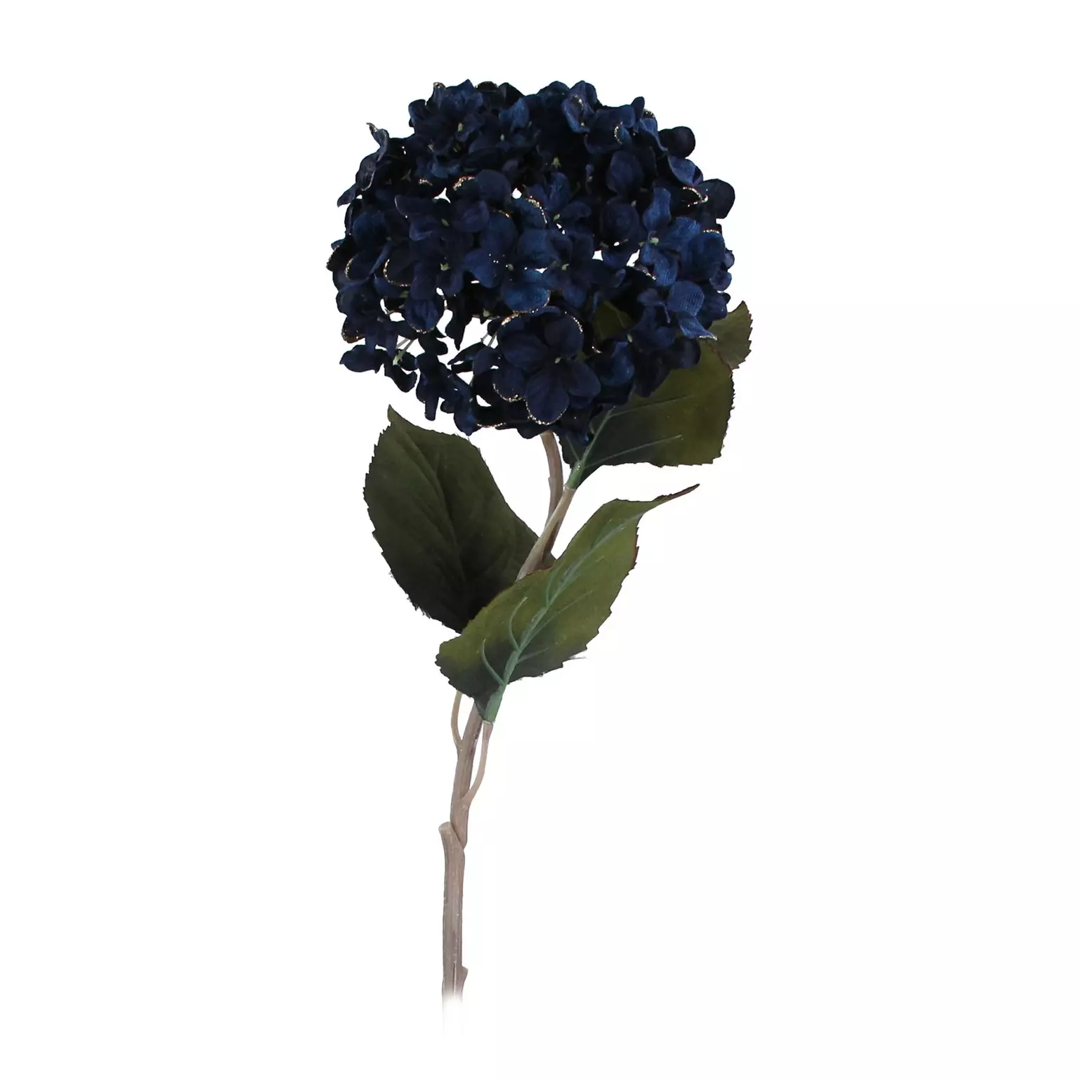 Dark Blue/Gold Hydrangea Stem - Pennells Garden Centres