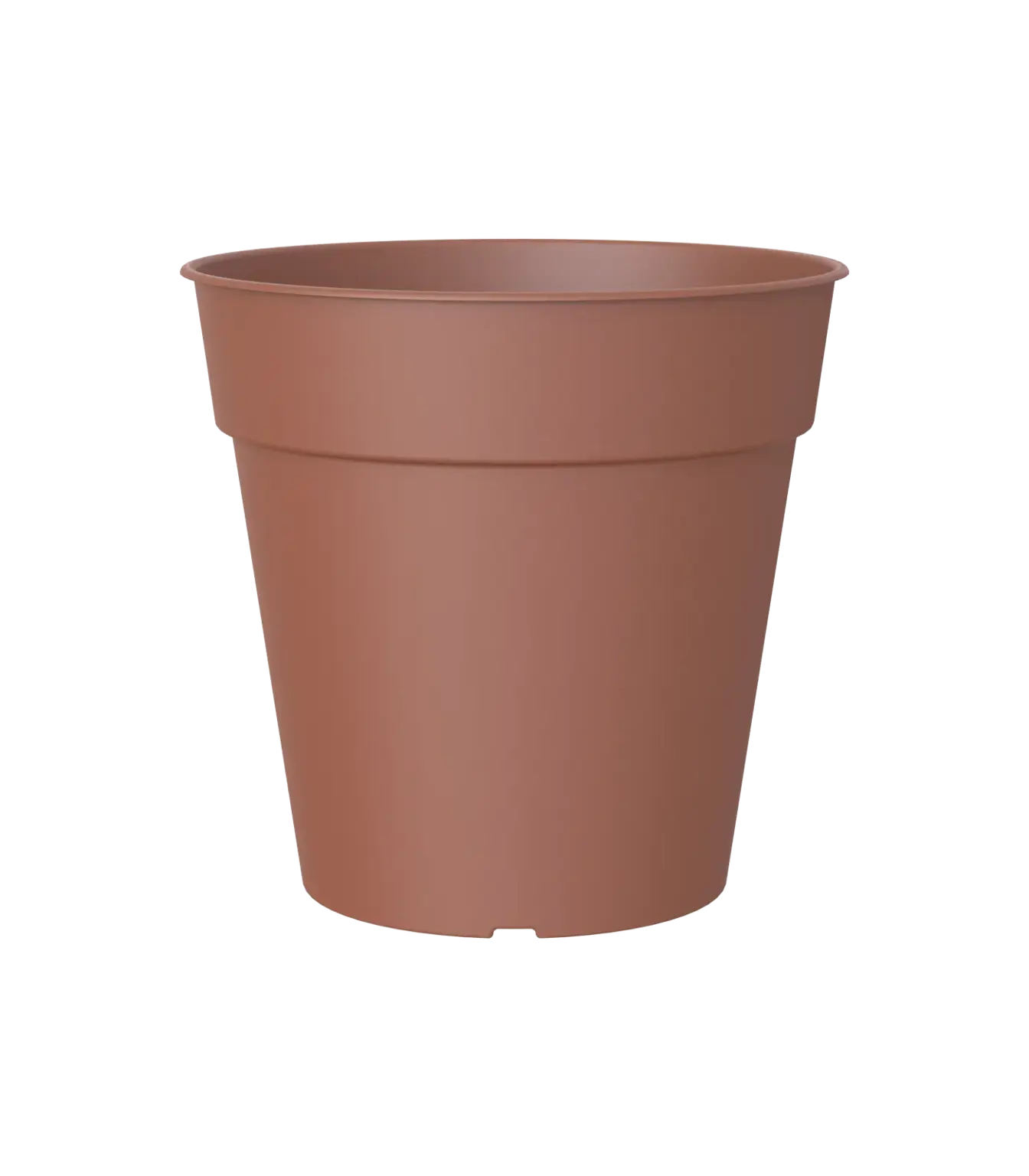 MADAGASCAR TO GROW POT TERRACOTTA 19CM - Pennells Garden Centres