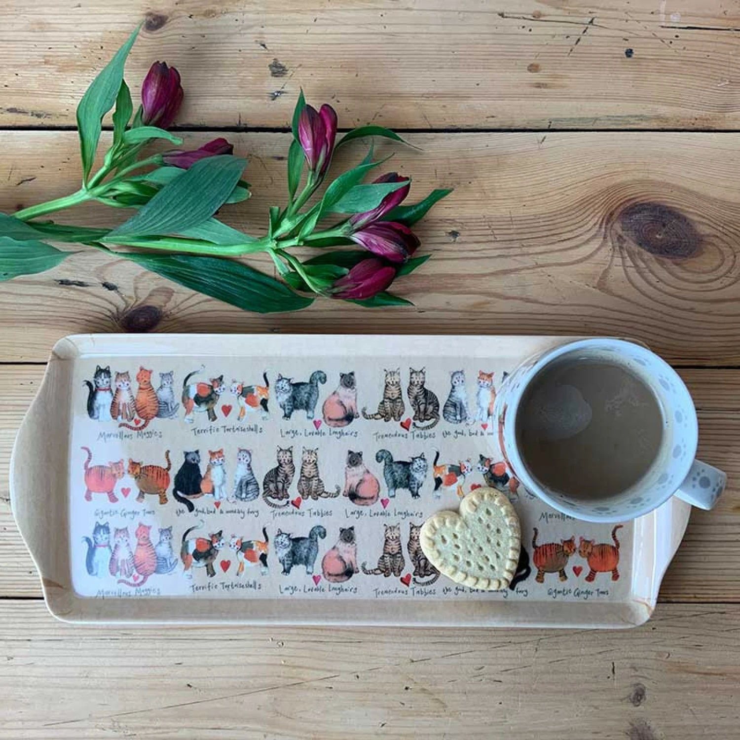 Mty02 Medium Cat Tray - Pennells Garden Centres