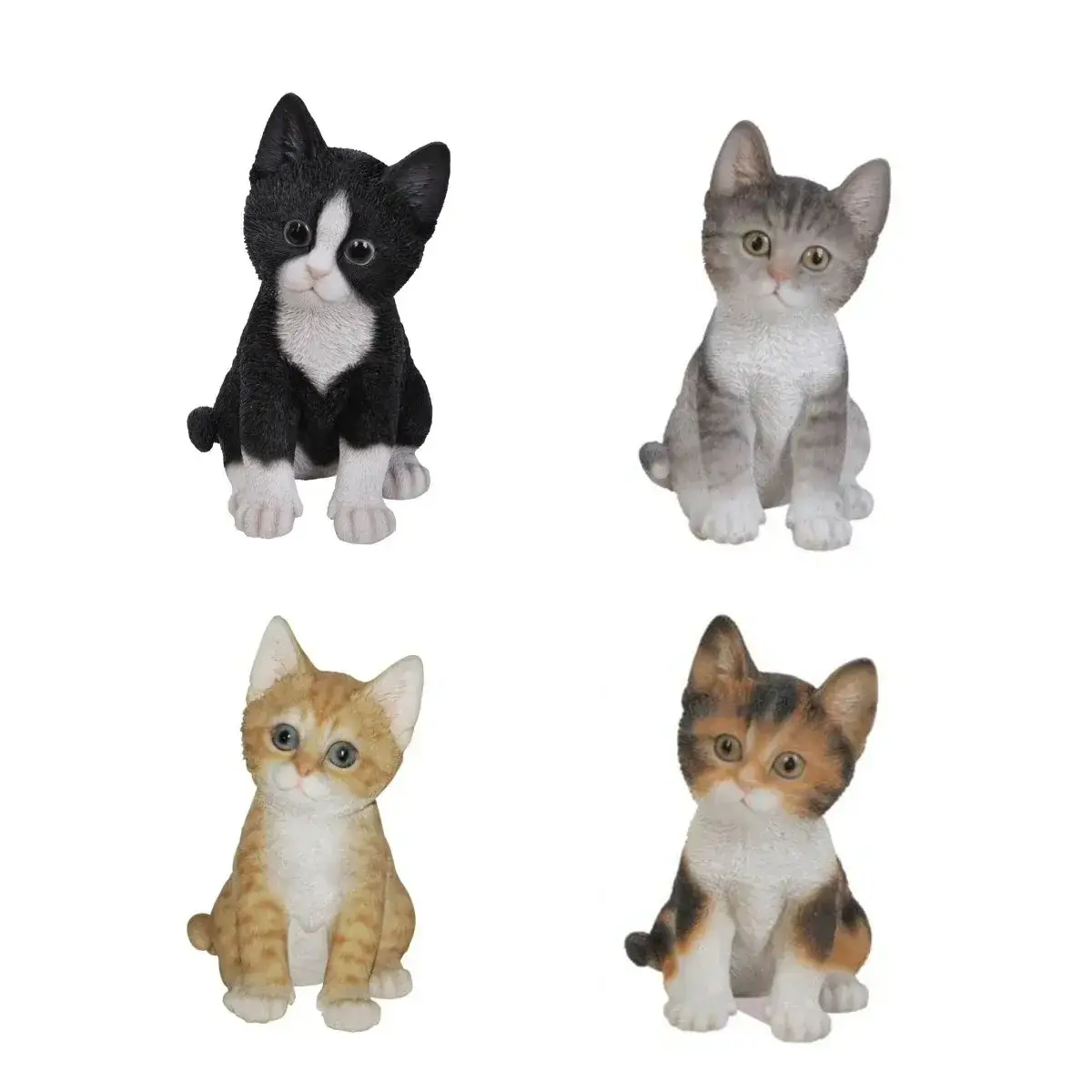 PP Kitten MIX COLOUR - Pennells Garden Centres